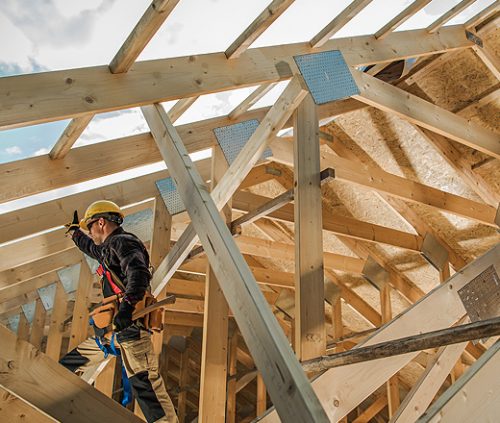 Holz + Dach - BAUEN+LEBEN